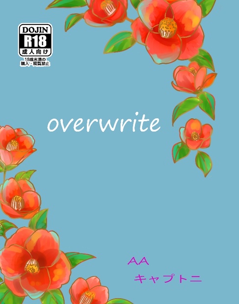 overwrite - liberment - BOOTH