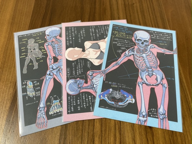 骨格ポストカード（C103新刊より） - 畳＠loop - BOOTH