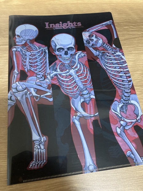 A4半透明クリアファイル(Insights) - 畳＠loop - BOOTH