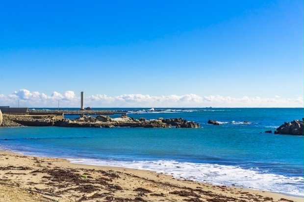 春の海辺 - yuno-suke - BOOTH