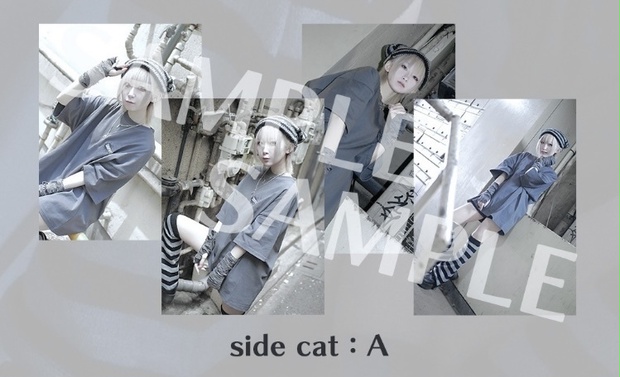 ブロマイド side cat：A - - BOOTH