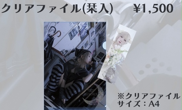 クリアファイル (栞入) - - BOOTH