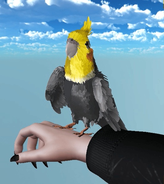 Vrchat Cockatiel Companion - Utsu Labs - BOOTH