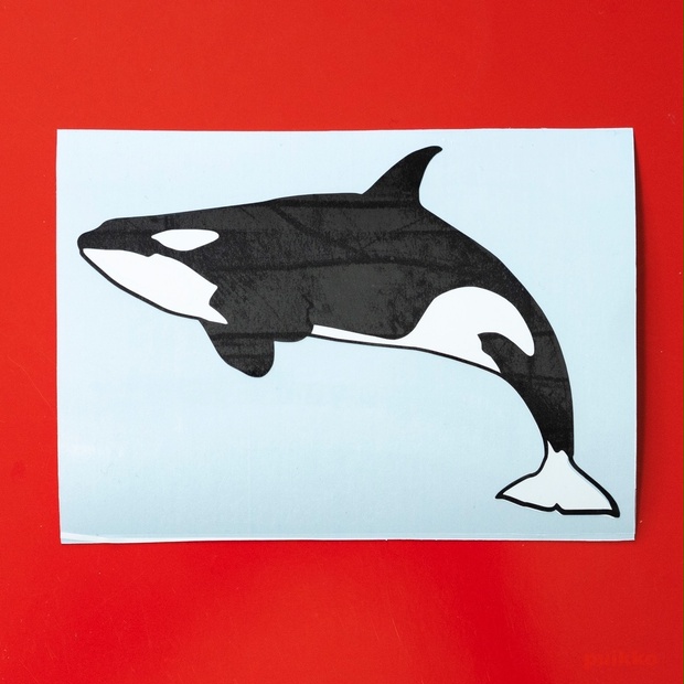 ステッカー シャチ2（重ね貼りタイプ） - puikko - BOOTH