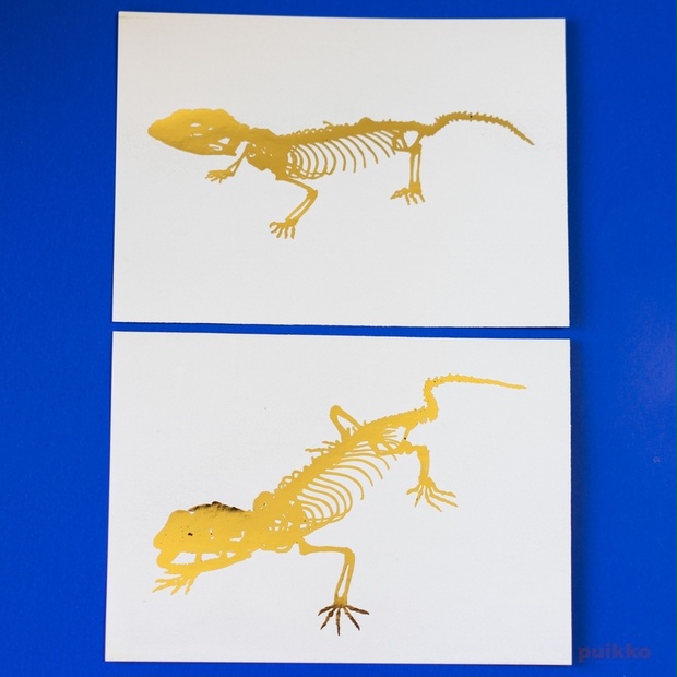 シール ヒョウモントカゲモドキの骨格2 箔押し（A6判x2） - puikko - BOOTH