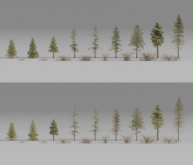 Forest Pack - Archives - BOOTH