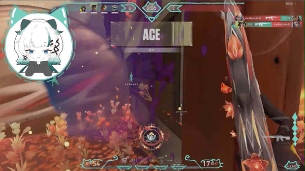 VALORANT用オーバーレイ - けってぃしょっぷ - BOOTH