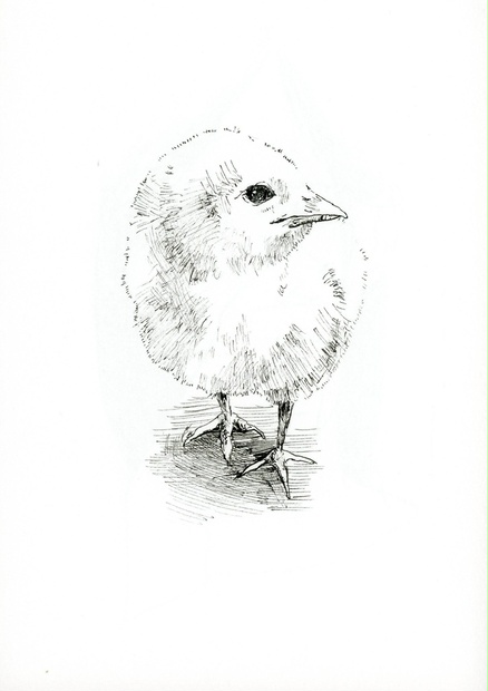 ドローイング - 0-0t--k - BOOTH