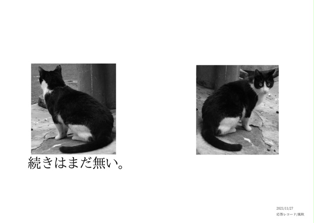 続きはまだ無い - outou-record - BOOTH