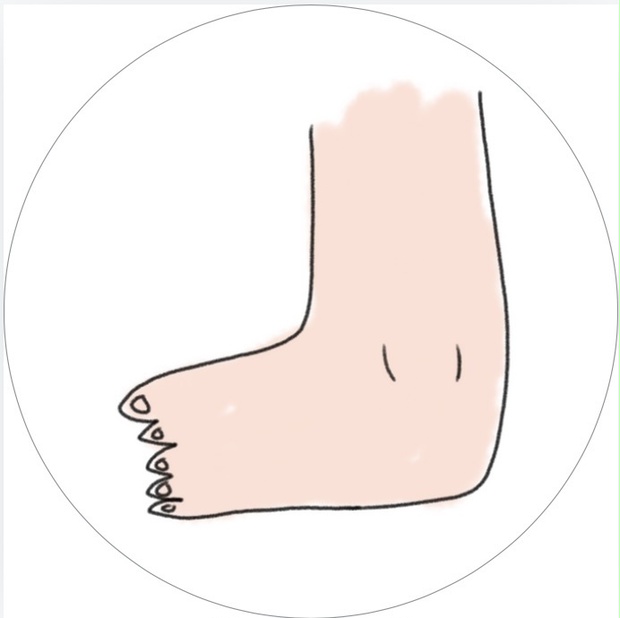 しろさん。のくるぶし - shirosan-maru - BOOTH