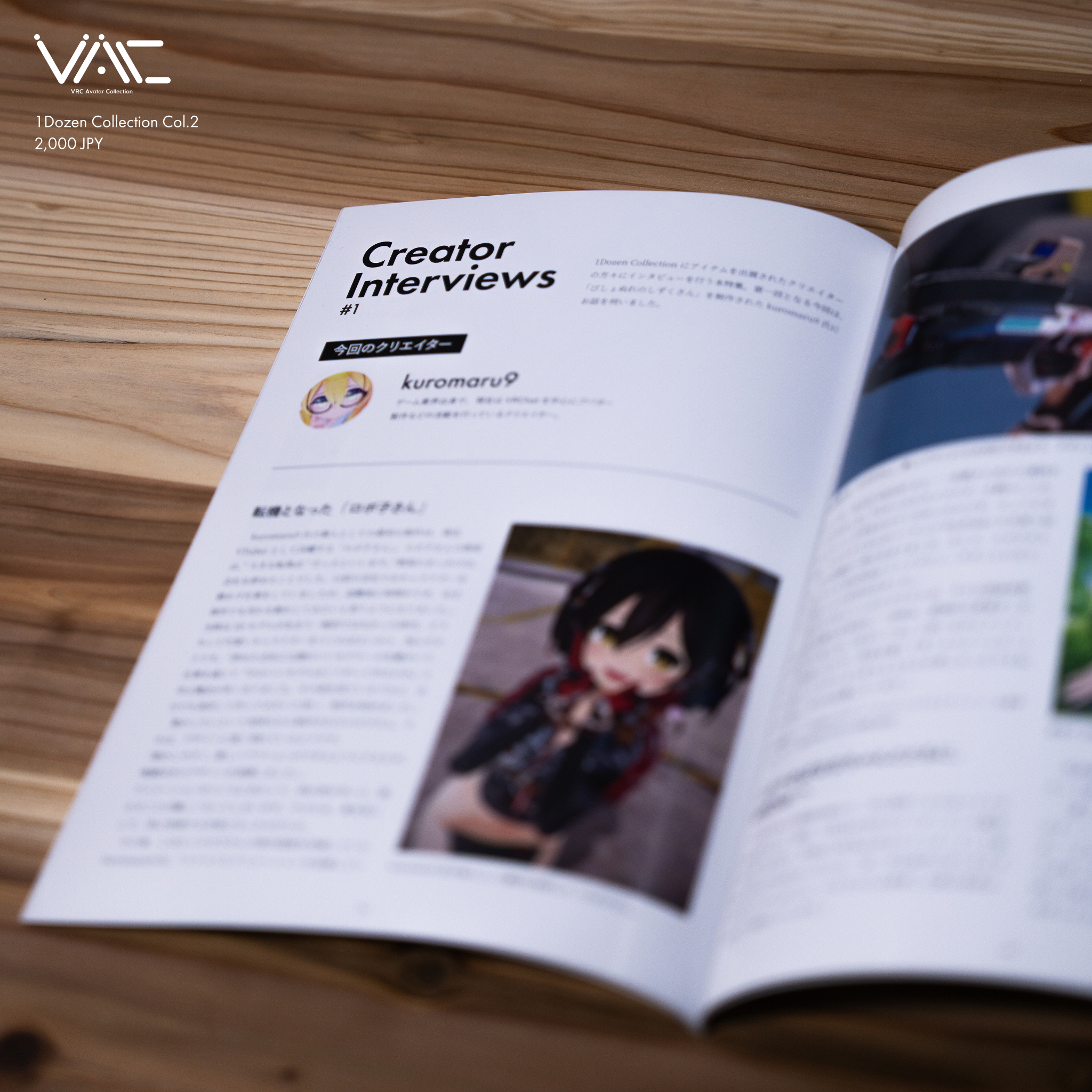 【アバターコレクション雑誌】1Dozen Collection col.2（電子版あり）（ショップ監修）（kuromaru9氏特集） - USLOG - BOOTH