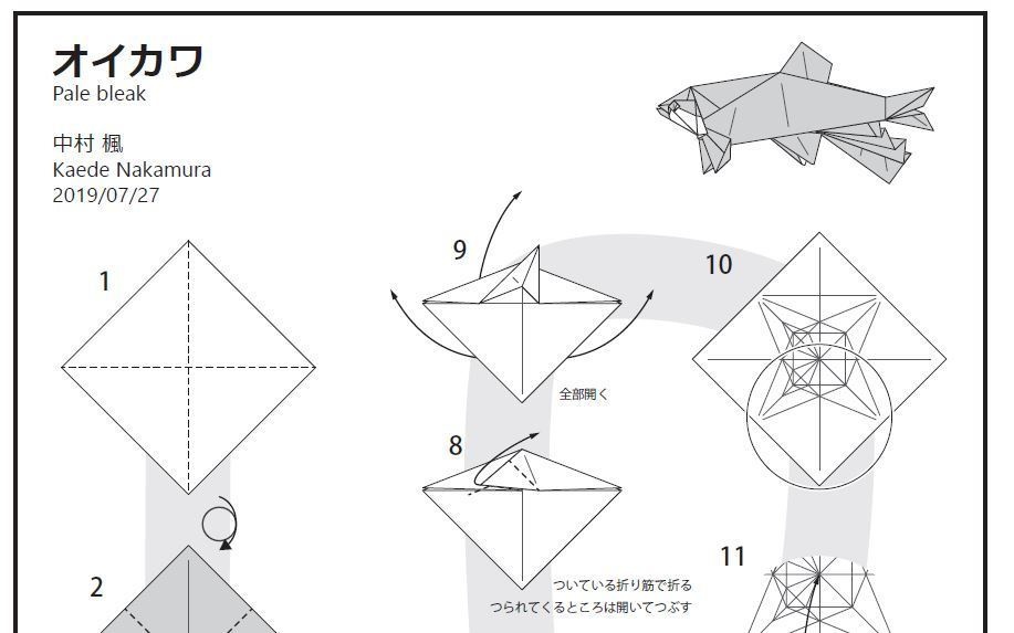 オイカワ／Pale bleak - 牛乳派閥 - BOOTH