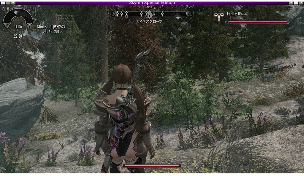 RealSharp【Skyrim SE/AE用ENB・ReShadeプリセット】 - 寅と羊の道具屋 - BOOTH