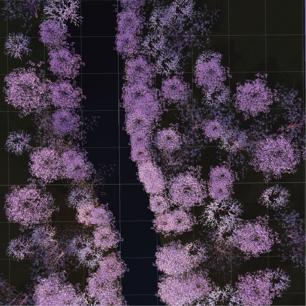 川沿いの桜並木_unitypackage+FBX - hirameki-hakaba - BOOTH