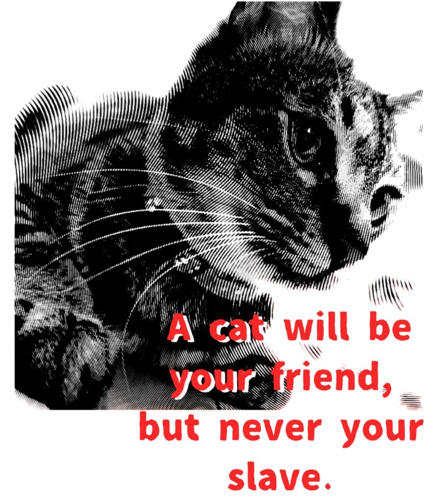 【ねこ部】プルオーバーパーカー(後)03 - れとろにむ猫部 - BOOTH