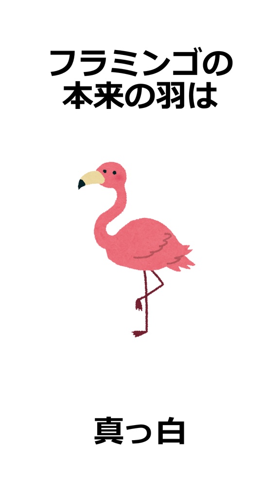 テンプレート: 雑学系動画 - もちは餅屋 - BOOTH