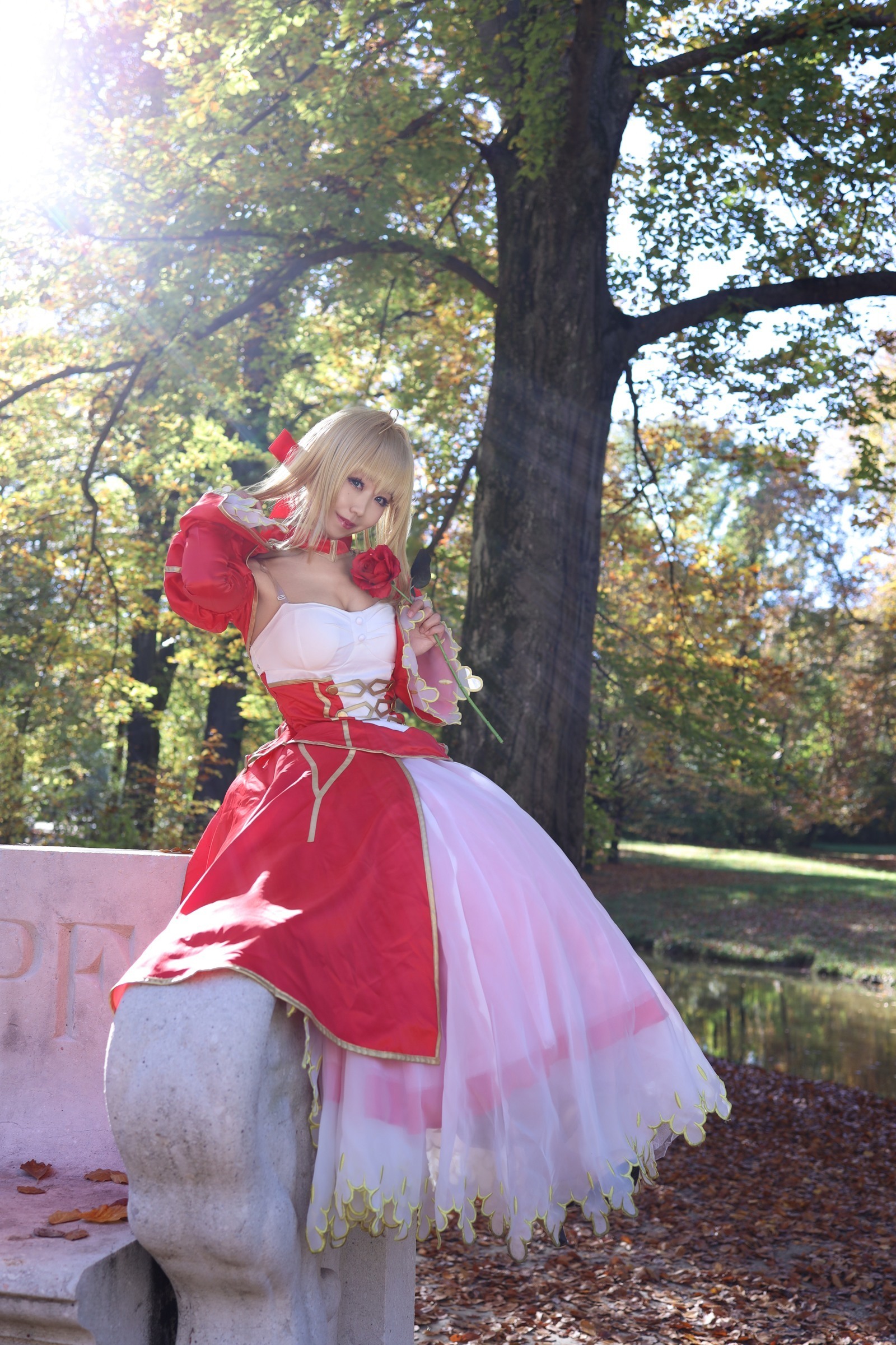 【C103】【ROM版】FG〇ネロちゃまROM「SakuraServantCollection」 - さくら。製作所 - BOOTH