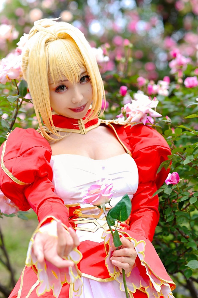 【C103】【ROM版】FG〇ネロちゃまROM「SakuraServantCollection」 - さくら。製作所 - BOOTH