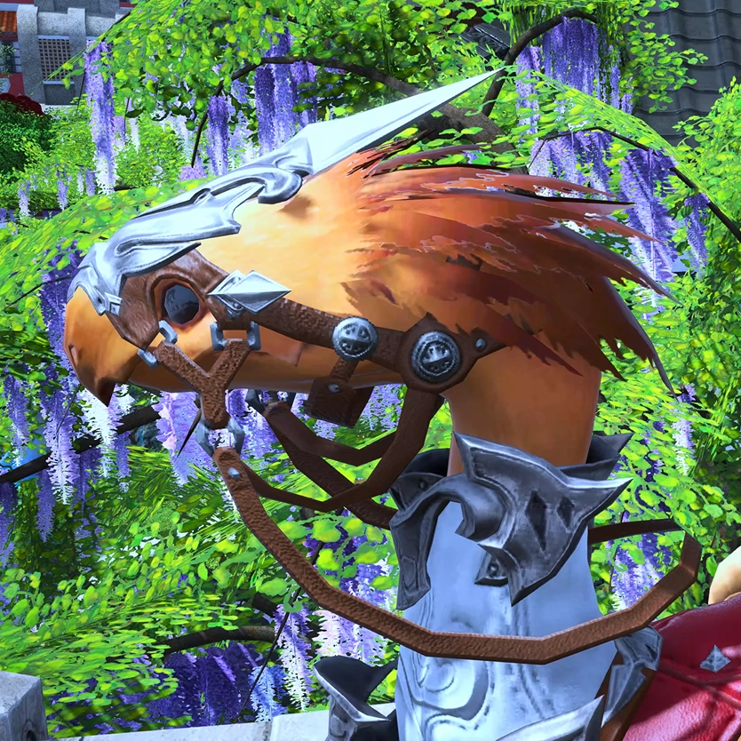 Draught and Ceremony Chocobo Fun Ride (2 player) (Mount Mod) (All Races ...