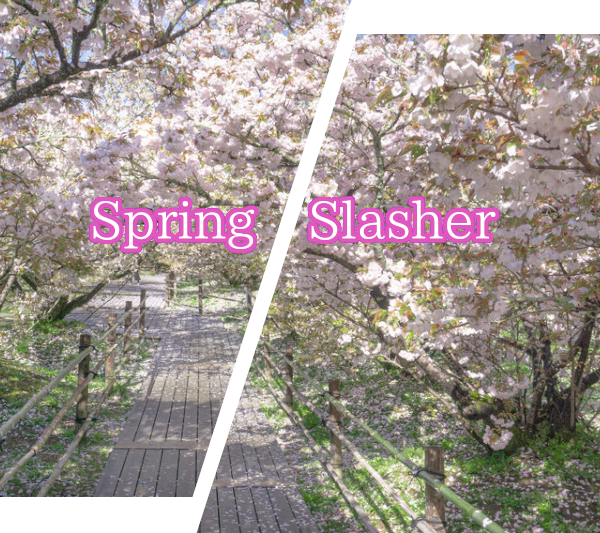 DX3rd 『Spring Slasher』 - 華黎集 - BOOTH