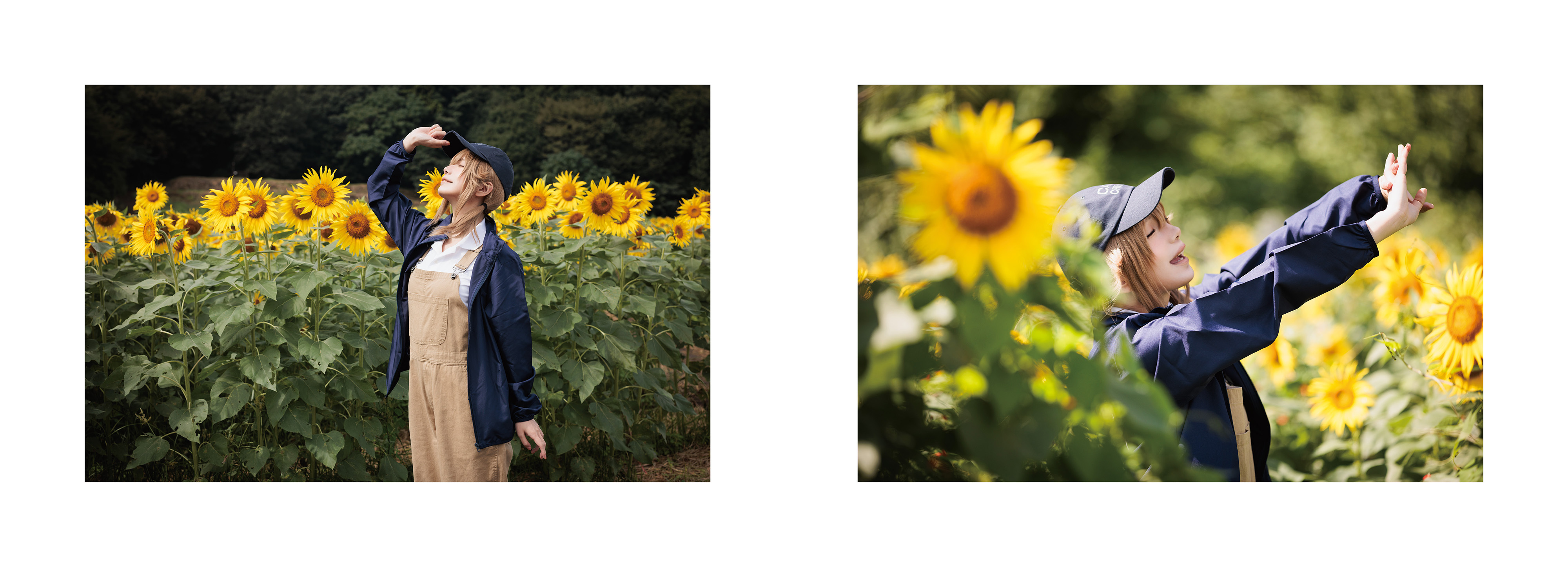 SUNFLOWER JOURNEYS - ねこましん - BOOTH