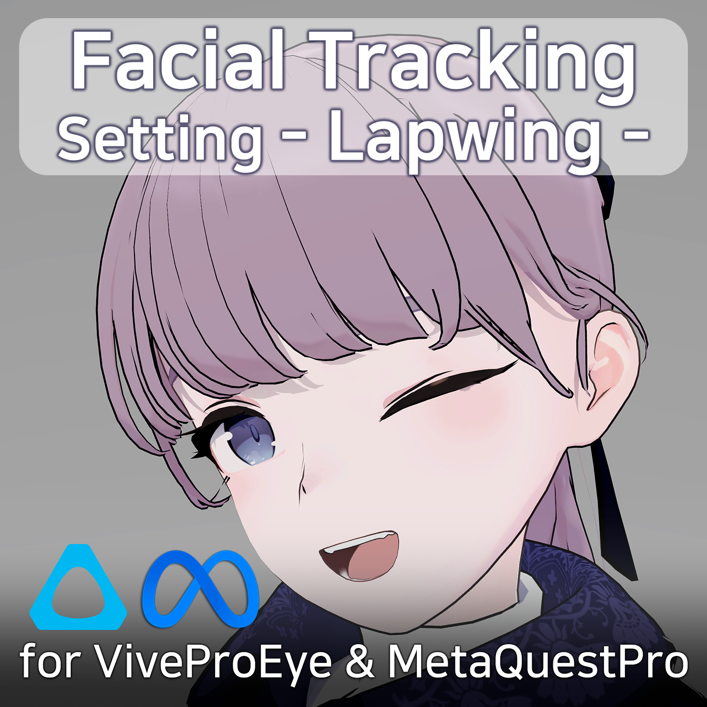 Lapwing's FacialTracking Setting - Fermata Shop - BOOTH