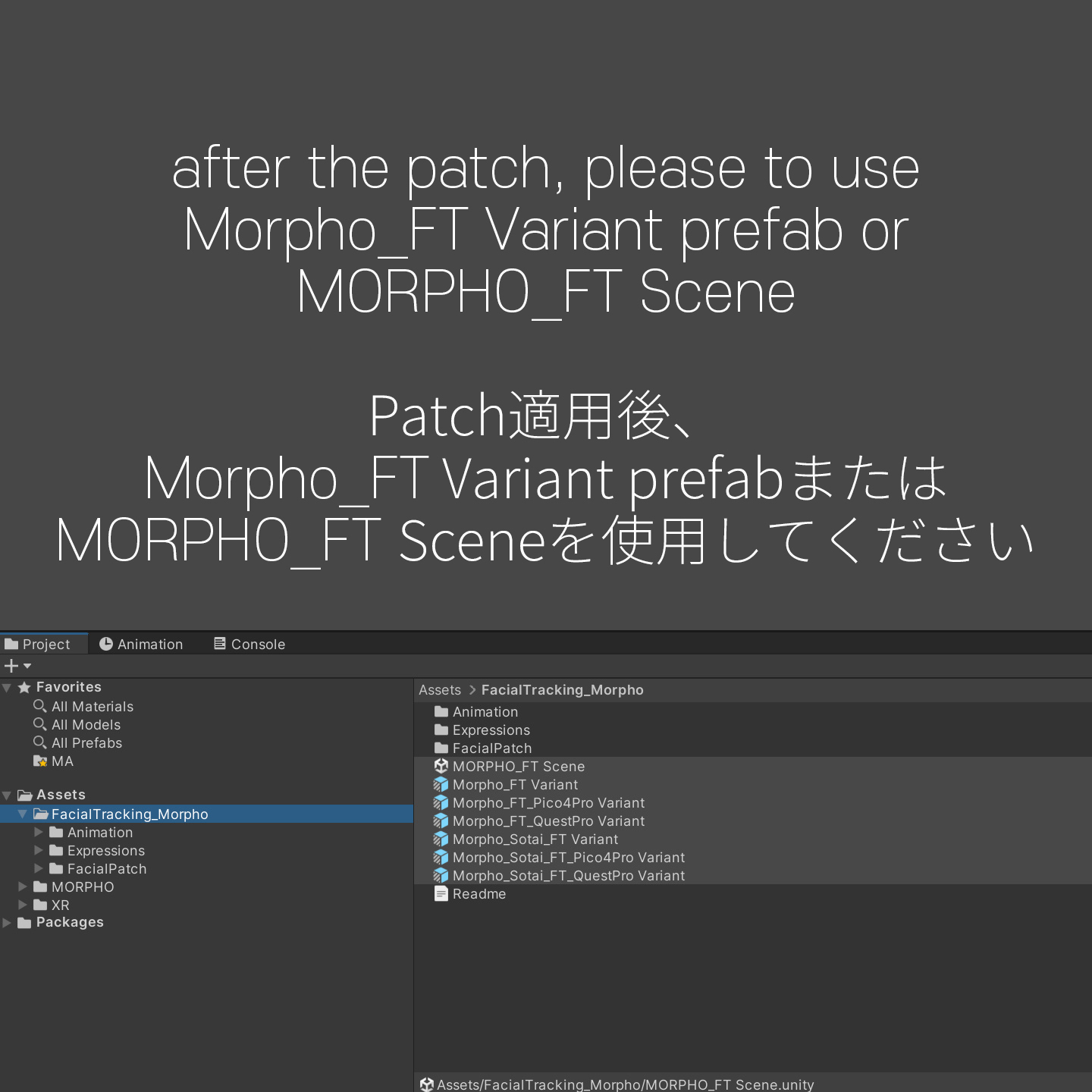 Morpho(モルフォ)'s FacialTracking Setting - Fermata Shop - BOOTH