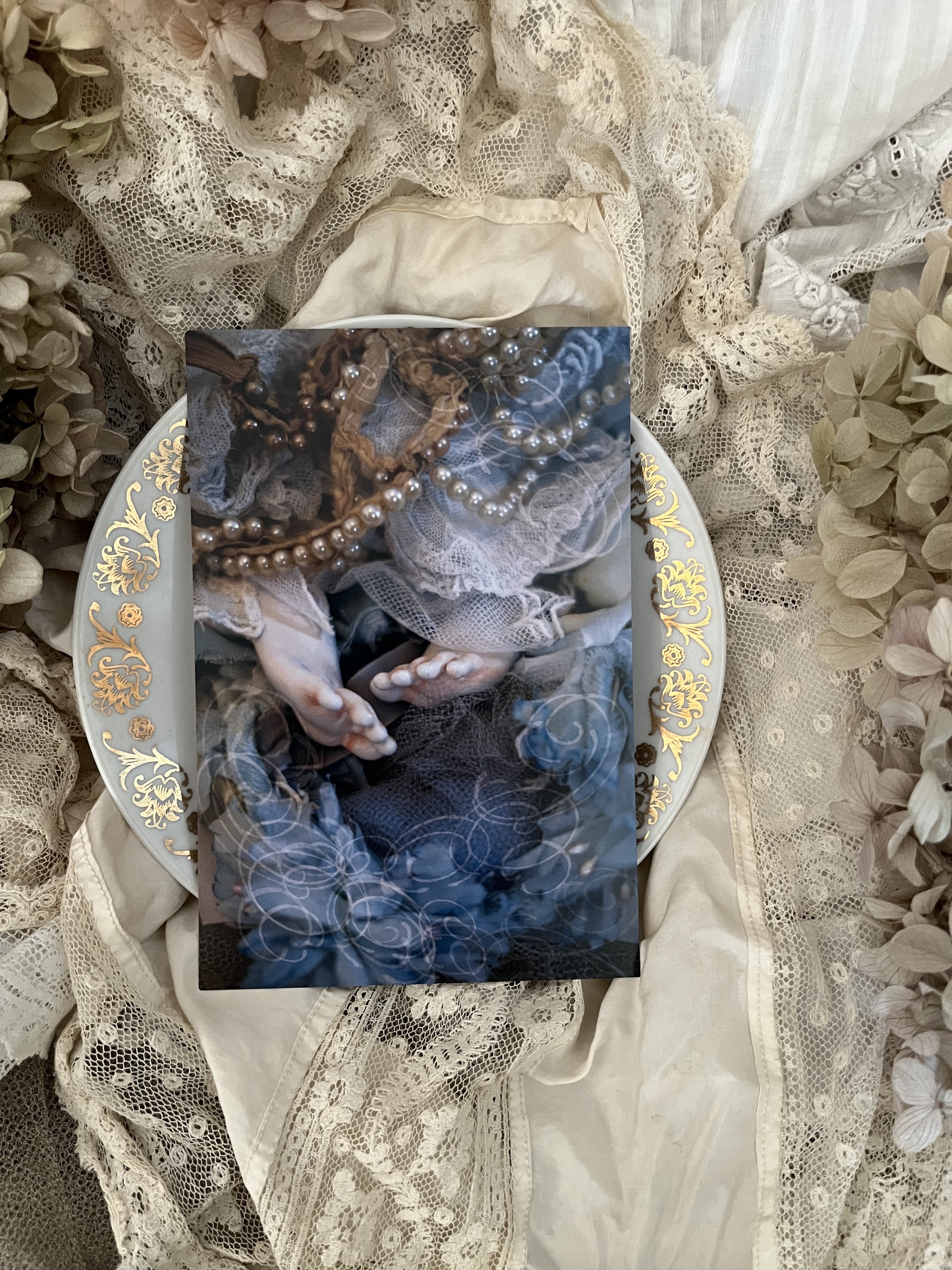 あんよポストカード6枚セット（2025年新作） - vitafragilis - BOOTH