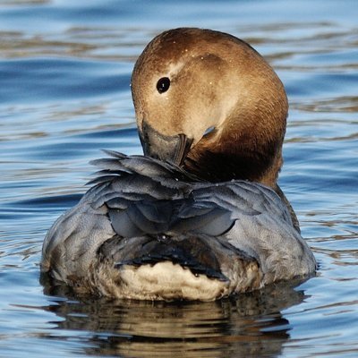 Civilization of MaYa - BOOTH